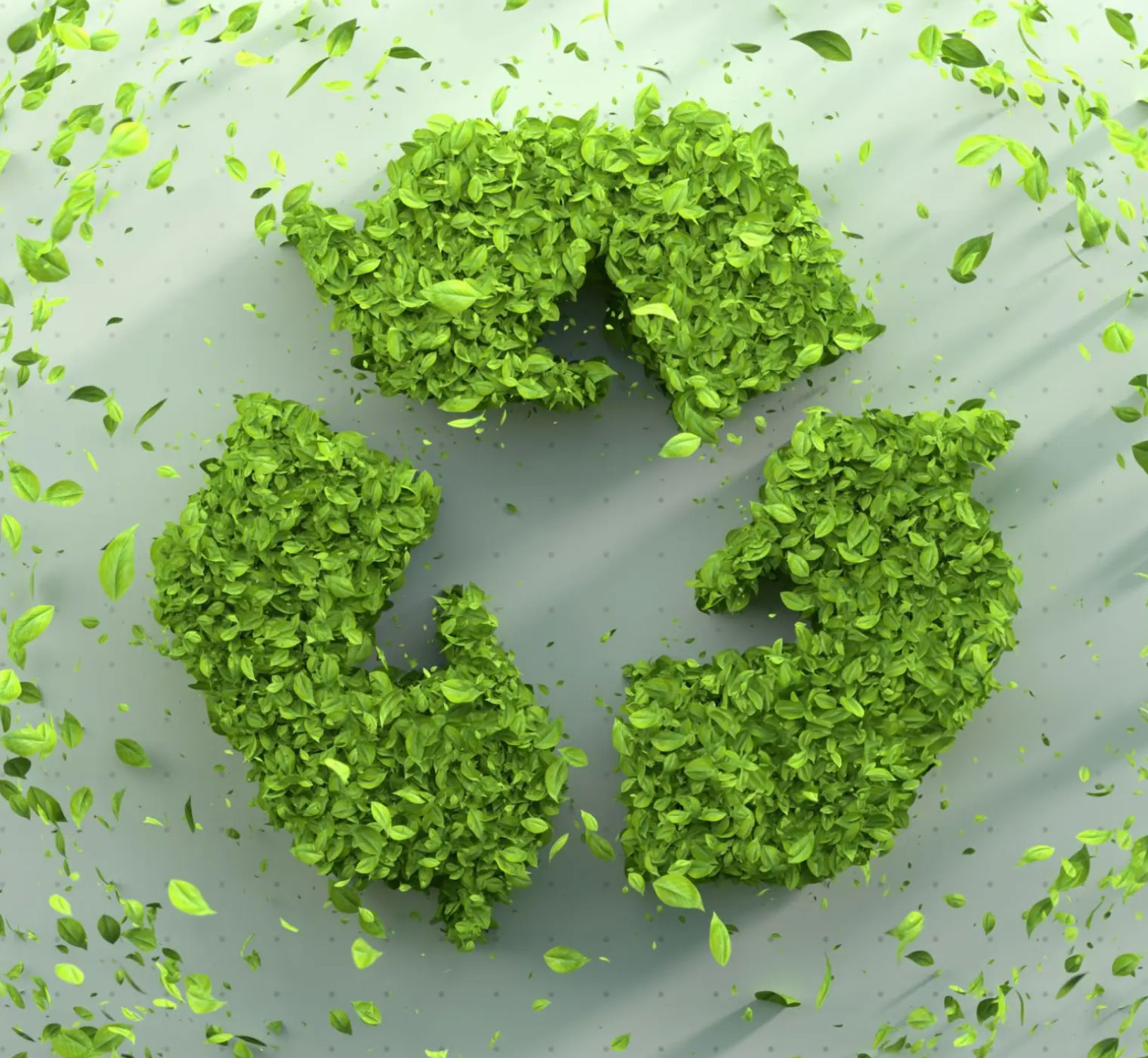 Environmental - Ancon Services